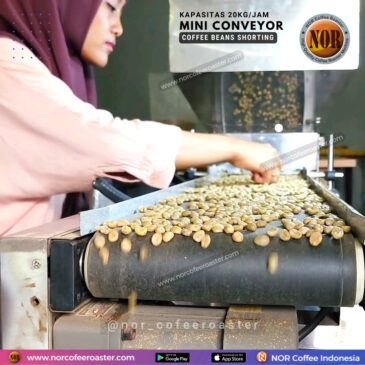 Mesin Sortasi Defect Biji Kopi Tipe Meja Konveyor